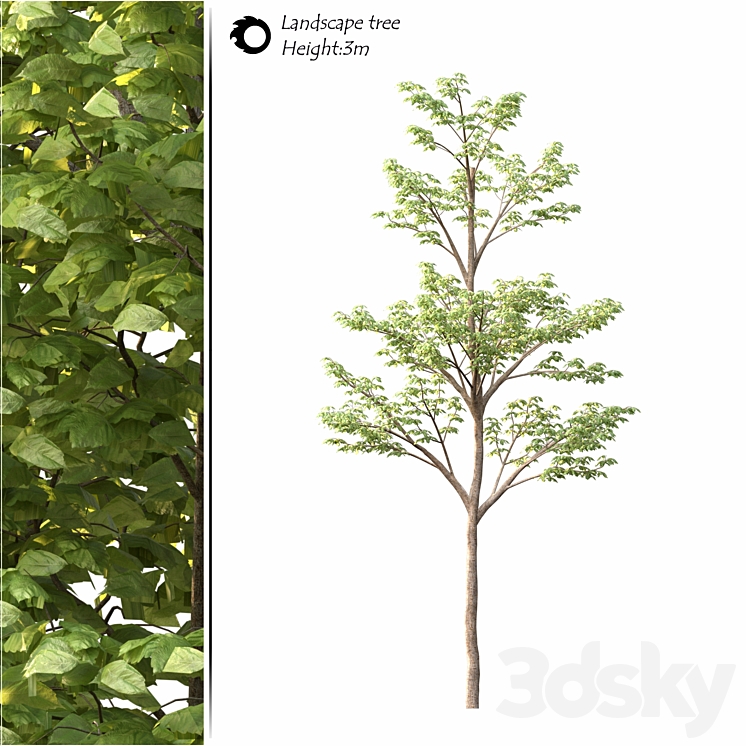 tree - Tree - 3D model