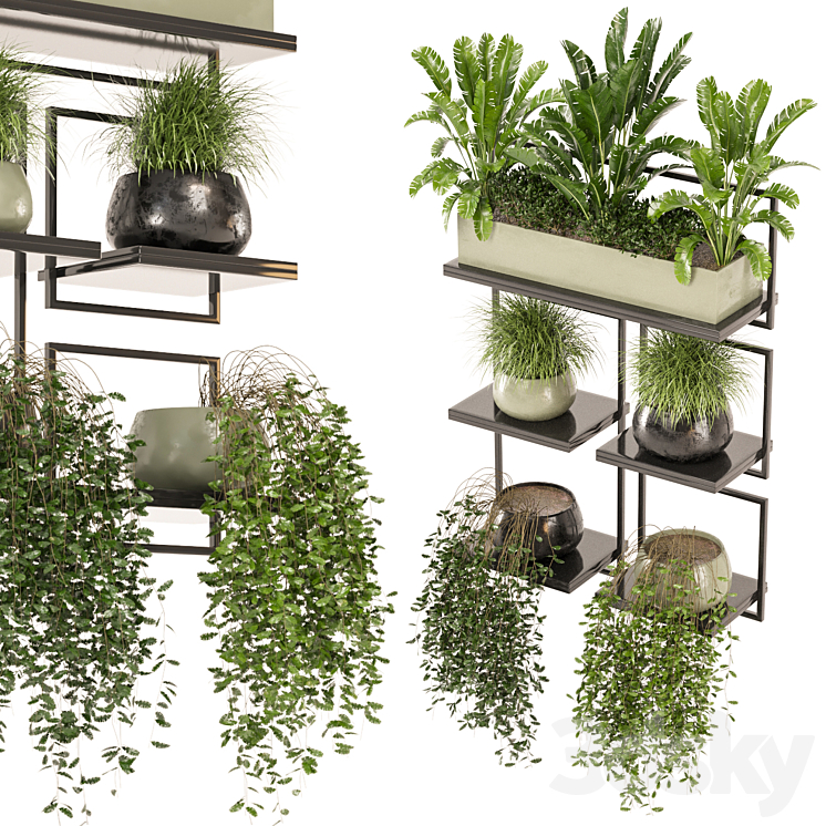 indoor hanging plants in metal box_set 524 - Indoor - 3D model