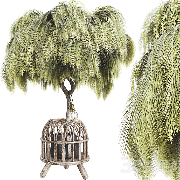 Palm tree 01 - Indoor - 3D model