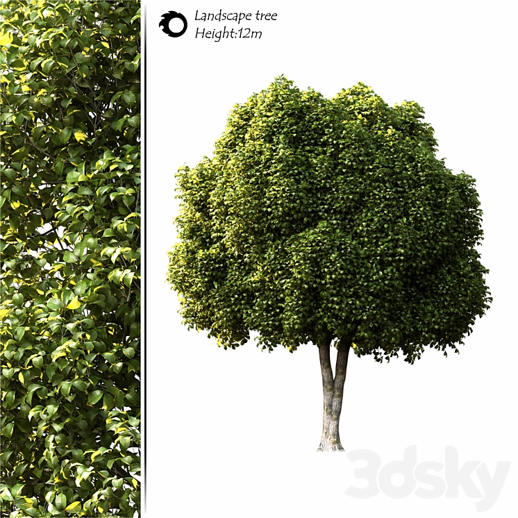 tree - Tree - 3D model
