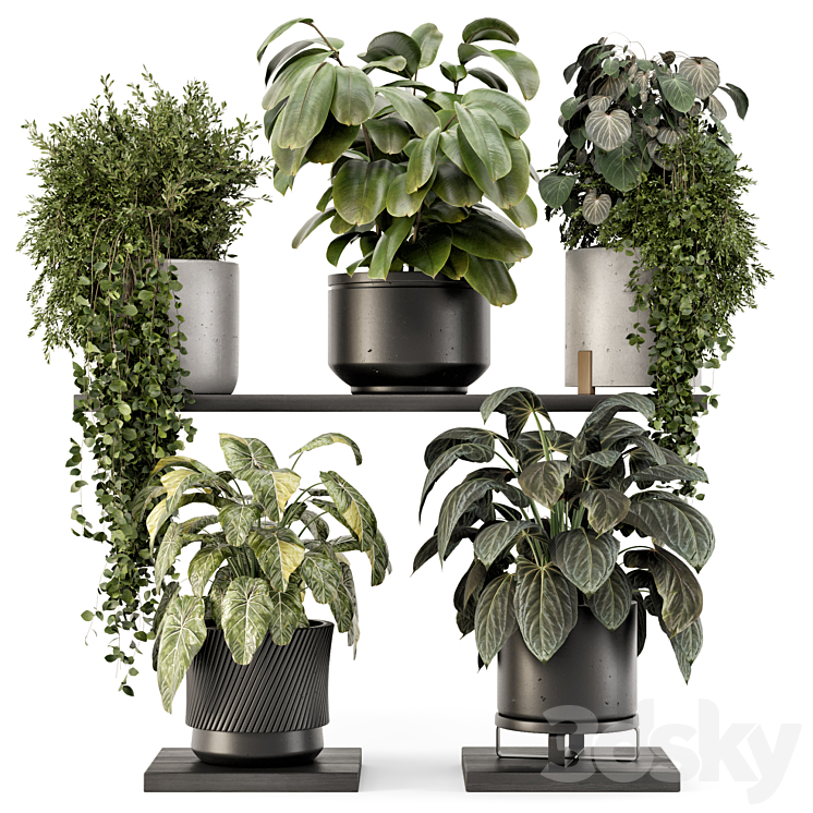 Indoor Plants in rusty Concrete Pot - Set 1296 - Indoor - 3D model
