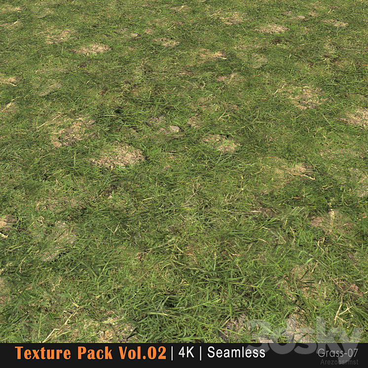 Grass texture P2-07 - Natural materials - 3D model