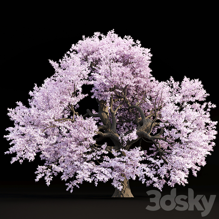 Cherry blossom tree vol 199 - Tree - 3D model