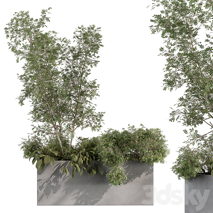 Plant Box - Outdoor Plants 517 - Outdoor - 3D model