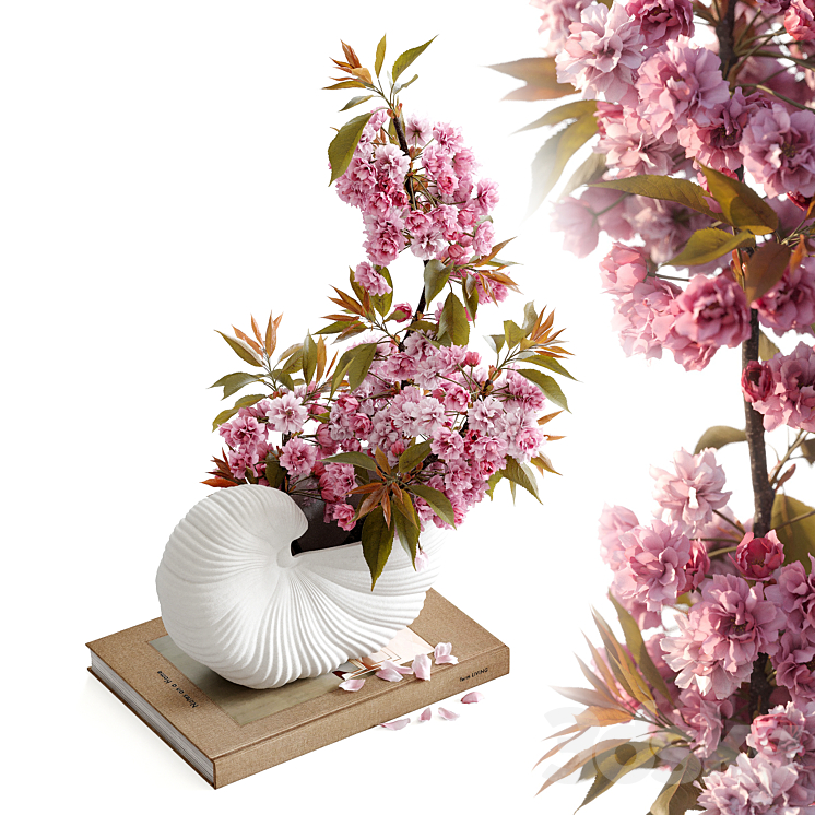 Shell Pot with Sakura Ferm Living - Decorative set - 3D model
