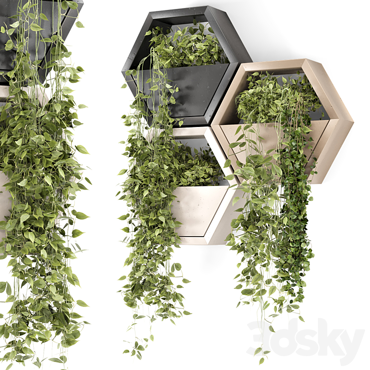 Indoor Hanging Petus Plants - Set 1581 - Indoor - 3D model