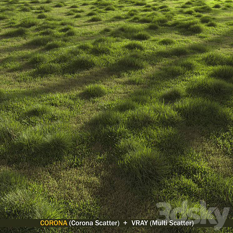 Forest Grass 3 - Grass - 3D model