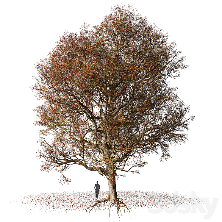 Autumn tree with fallen leaves and roots - Tree - 3D model