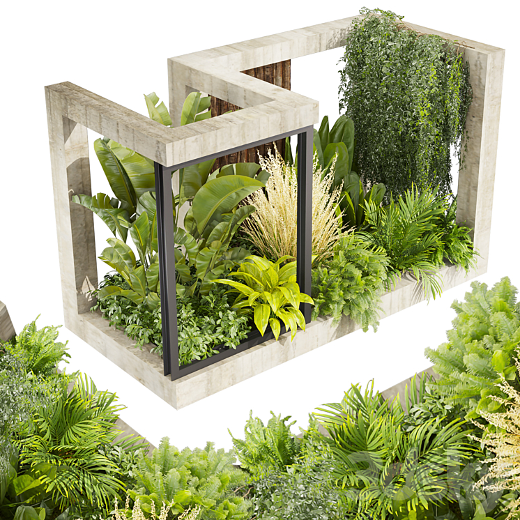 Collection plant vol 534 - garden - Landscape Design - backyard ...