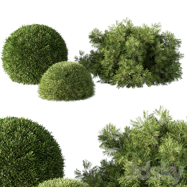 Bush Set.11 - Bush - 3D model