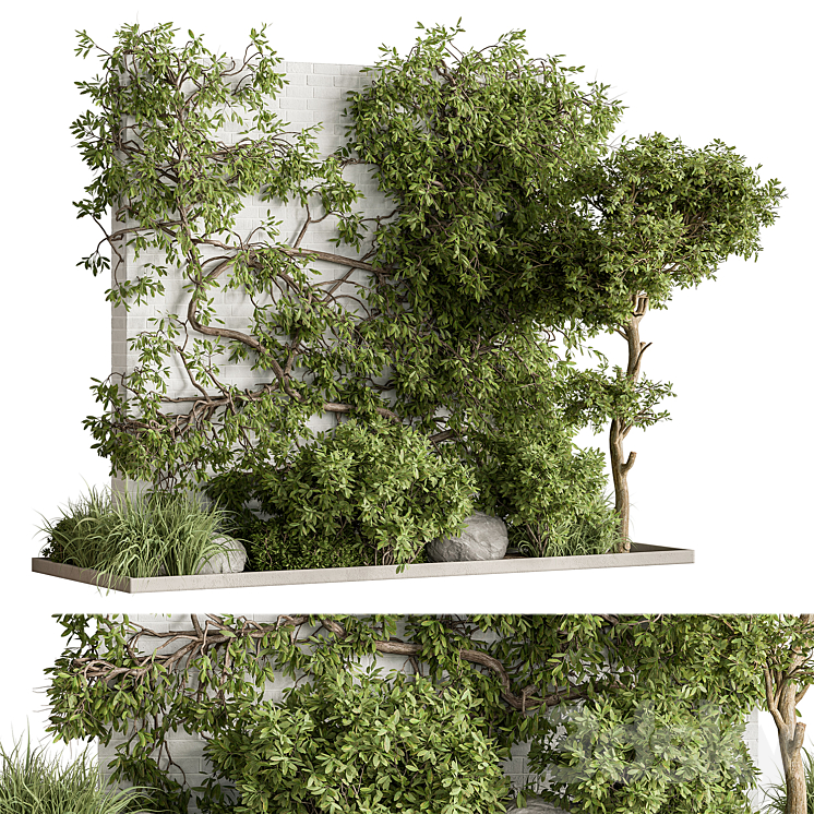 Plant Box Garden - Outdoor Plants 576 - Outdoor - 3D model