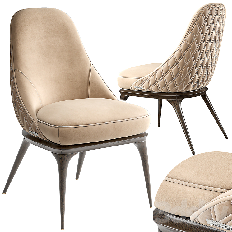 Chair ASHA Visionnaire - Chair - 3D model