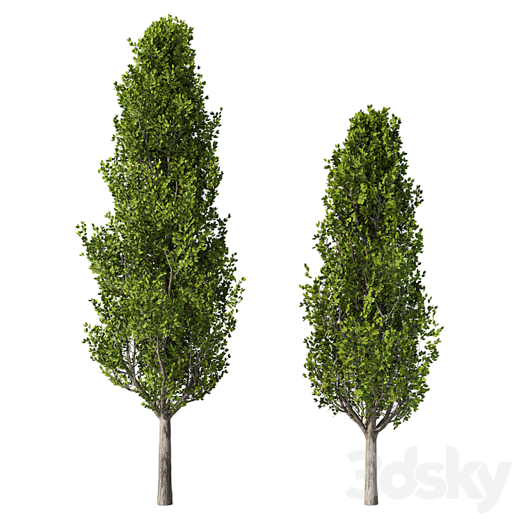 Tree No.63 - Tree - 3D model