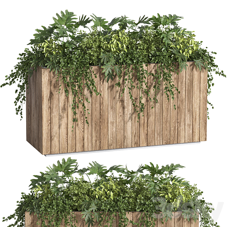 box of plants-indoor set 64 - Indoor - 3D model