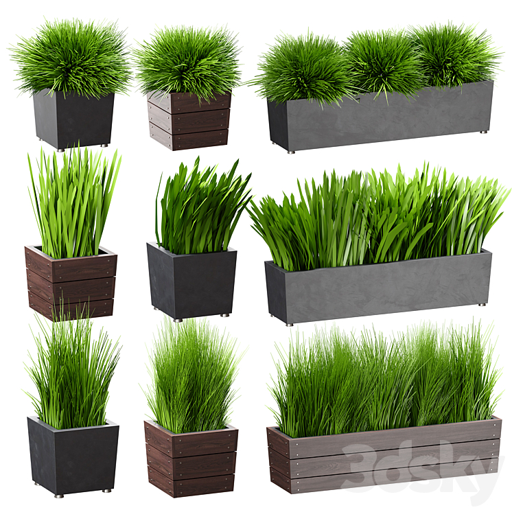 Grass in pots Plants in boxes - Outdoor - 3D model