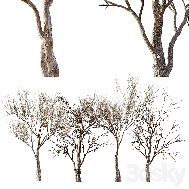 Dry Or Dead Tree 02 - Tree - 3D model