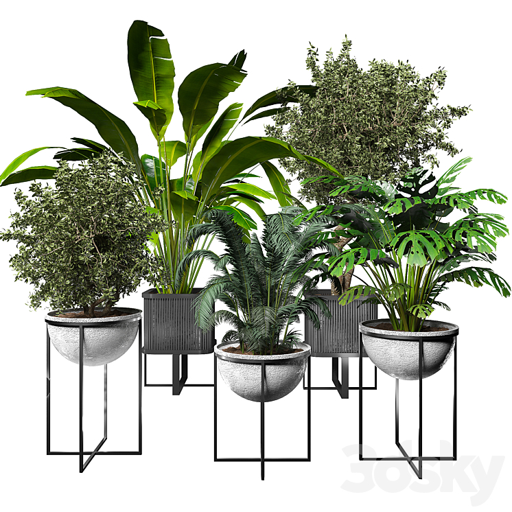 Indoor Plants 001 - Indoor - 3D model