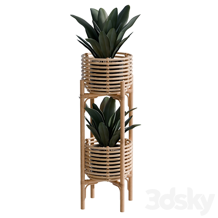Double Adobe Rattan Planters - Indoor - 3D model