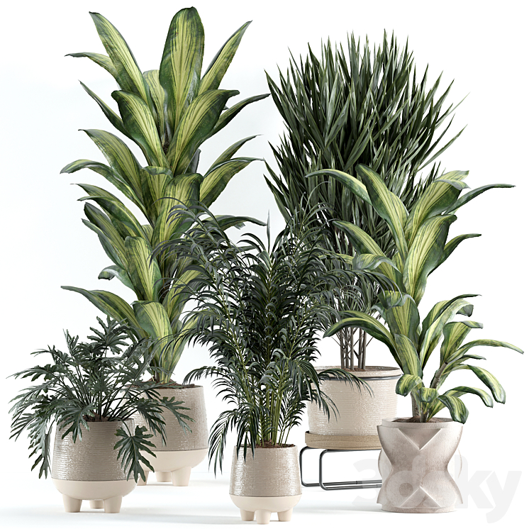 indoor plant 130 - Indoor - 3D model