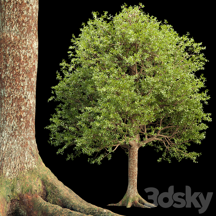 Natural tree vol 253 - Tree - 3D model