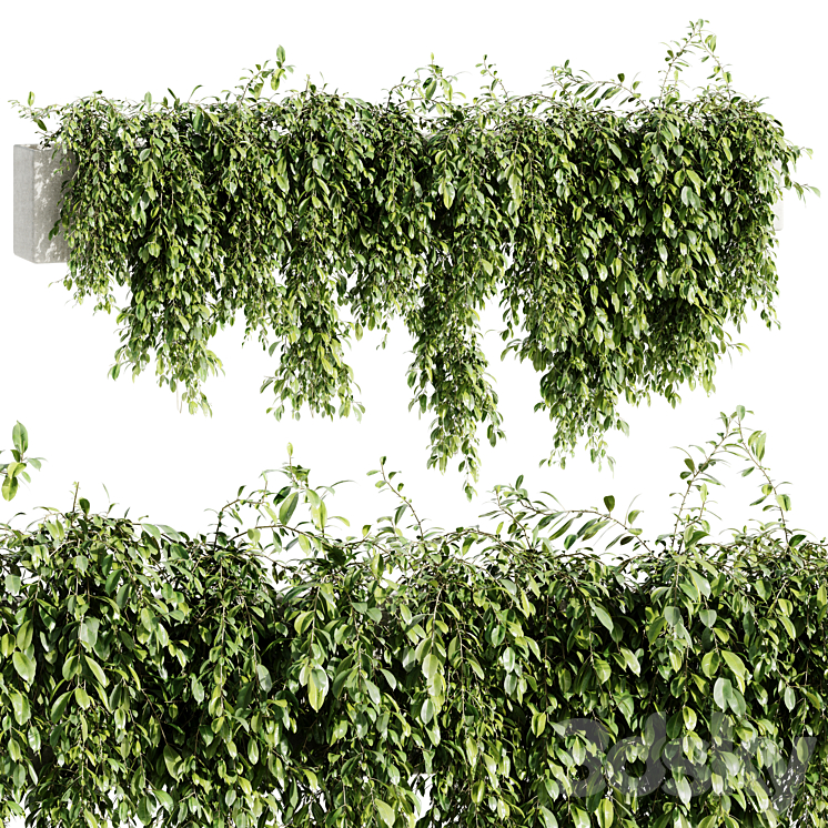 Outdoor Plants 09 - Hanging Plant - Outdoor - 3D model