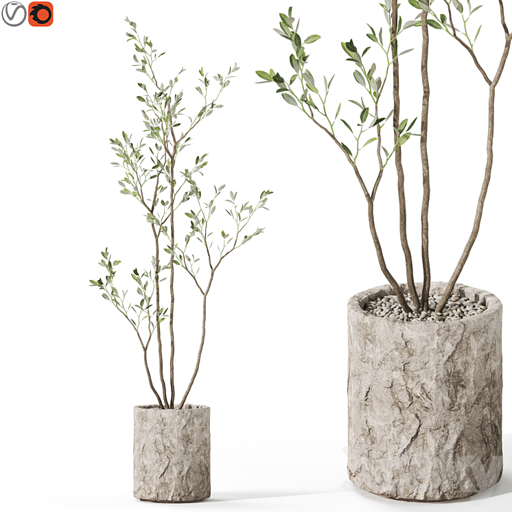 Plants collection 1125 - Indoor - 3D model