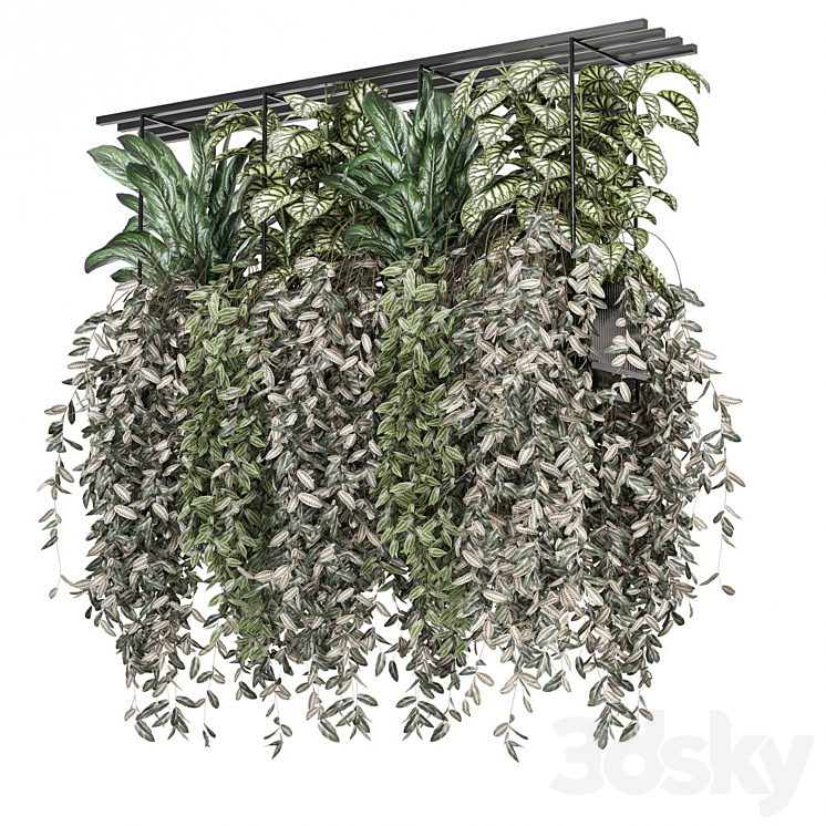 indoor plants in metal box _ Set hanging 1370 - Indoor - 3D model
