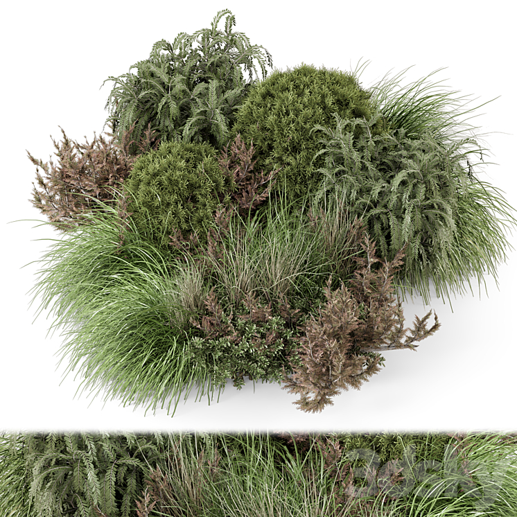 Outdoor Plants Bush Collection -Bush Set 2450 - Bush - 3D model