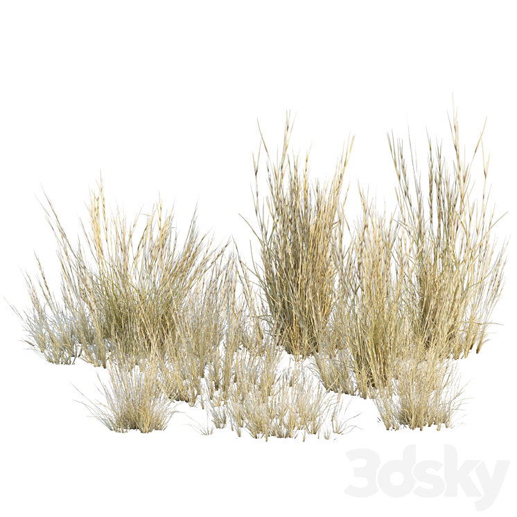 Low poly 3d wild dry grass collection vol 278 - Grass - 3D model