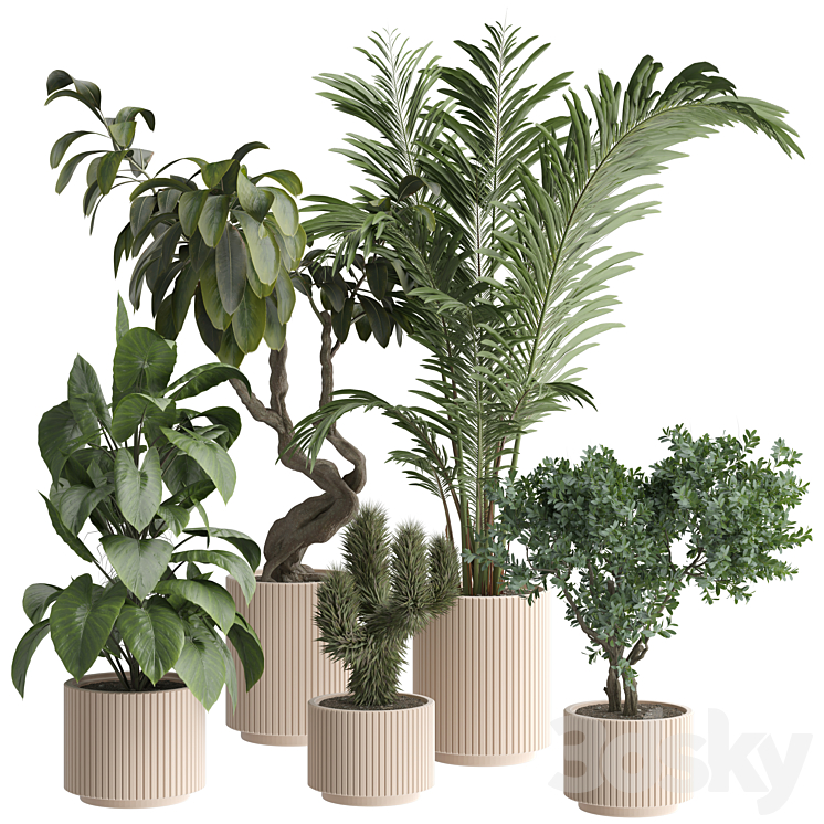 indoor Plant 553 - Indoor - 3D model