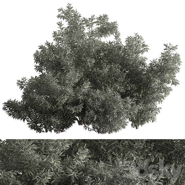 Mixed Plant Bush Set 150 - Bush - 3D model
