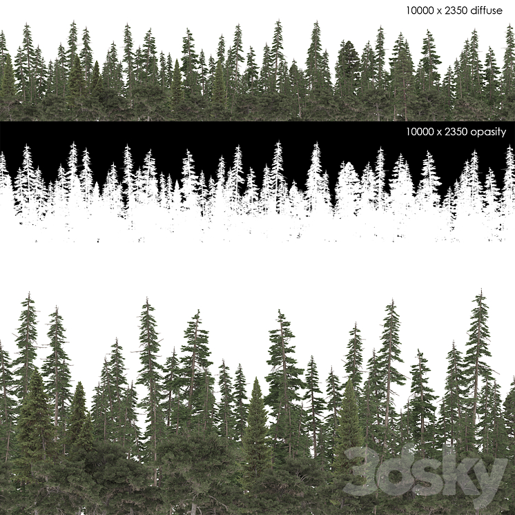 Coniferous forest panorama 3 with opacity map - Panorama - 3D model