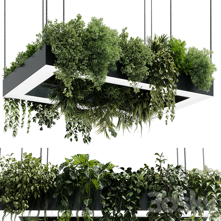 Rectangle pot light pendant - plant light hanging 27 - Indoor - 3D model