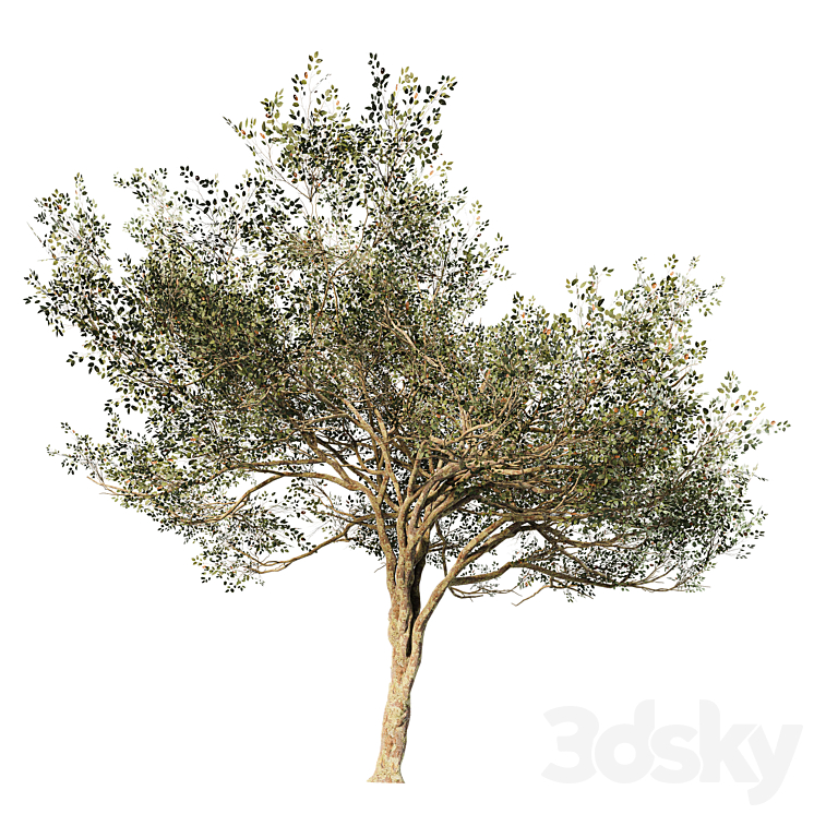 Tree TA 9 - Tree - 3D model