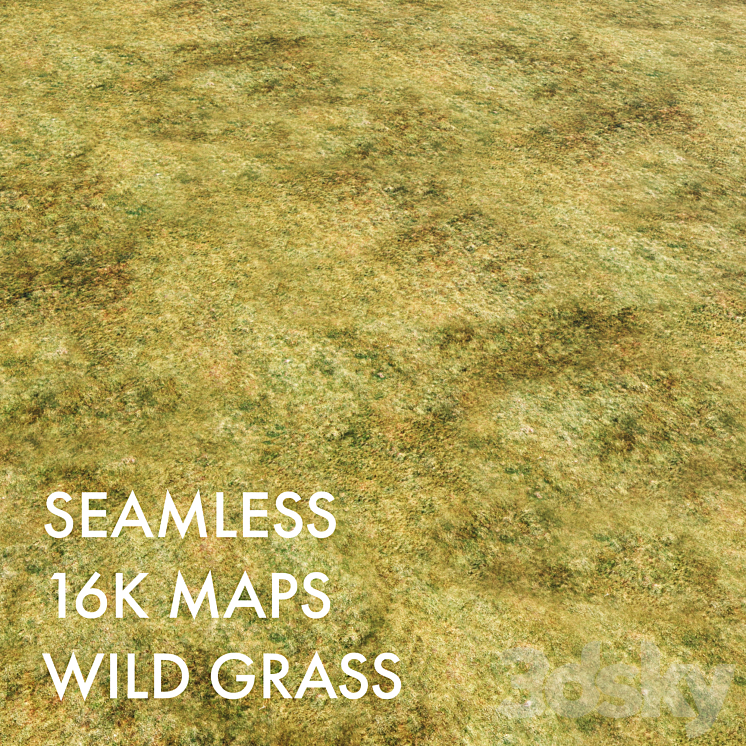 Material Wild Grassland | Seamless | PBR - Natural materials - 3D model
