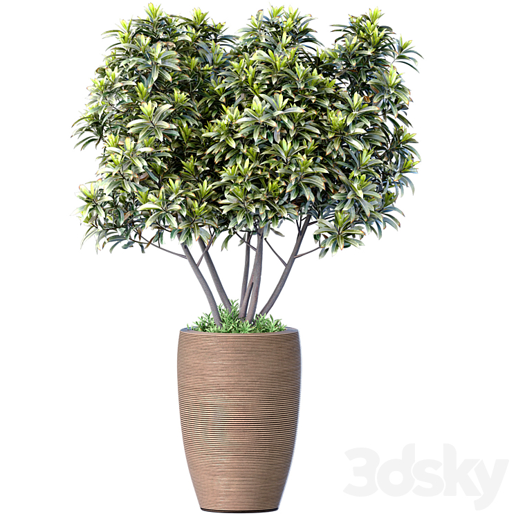 Decorative tree, bush,shrub in a modern high fluted vase,pot, vase, urn ...