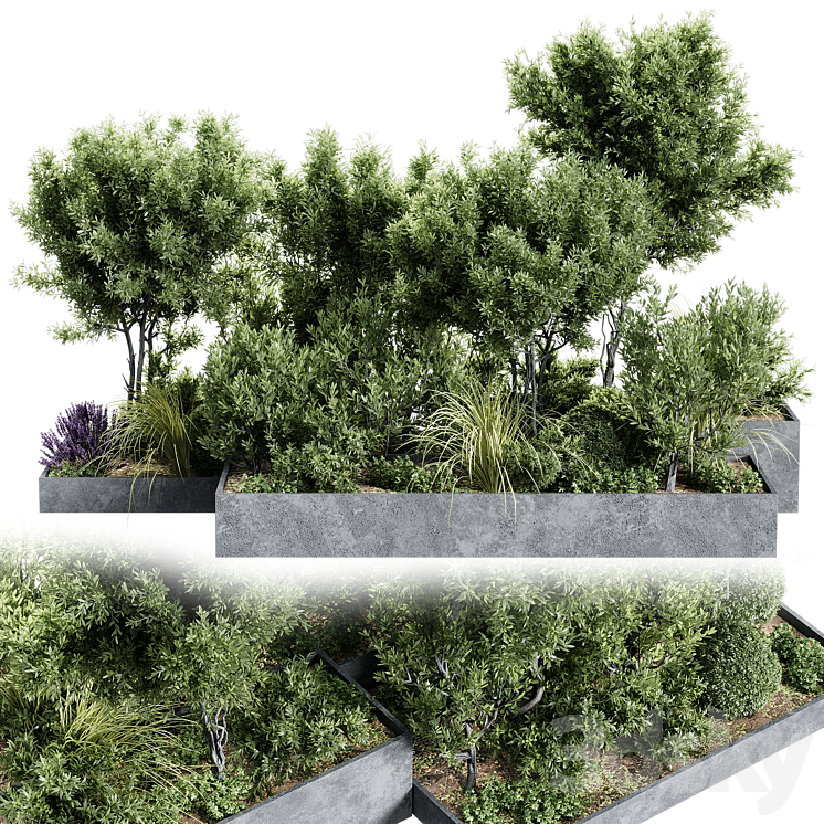 Outdoor Plants - 11 Plants in box - Outdoor - 3D model