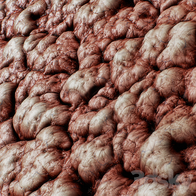 Guts Textures - Natural materials - 3D model