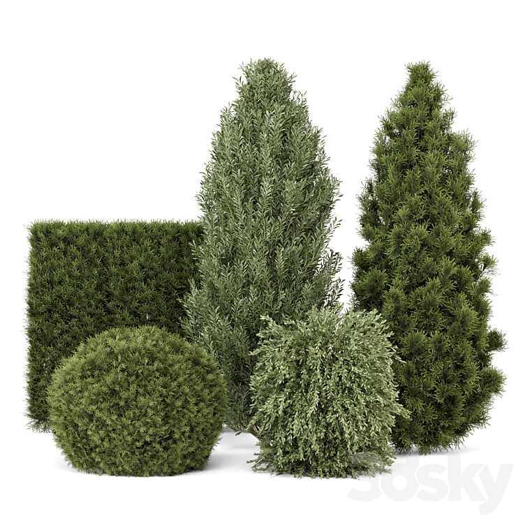 Outdoor Pine Plants Bush_Bush Set 2697 - Bush - 3D model