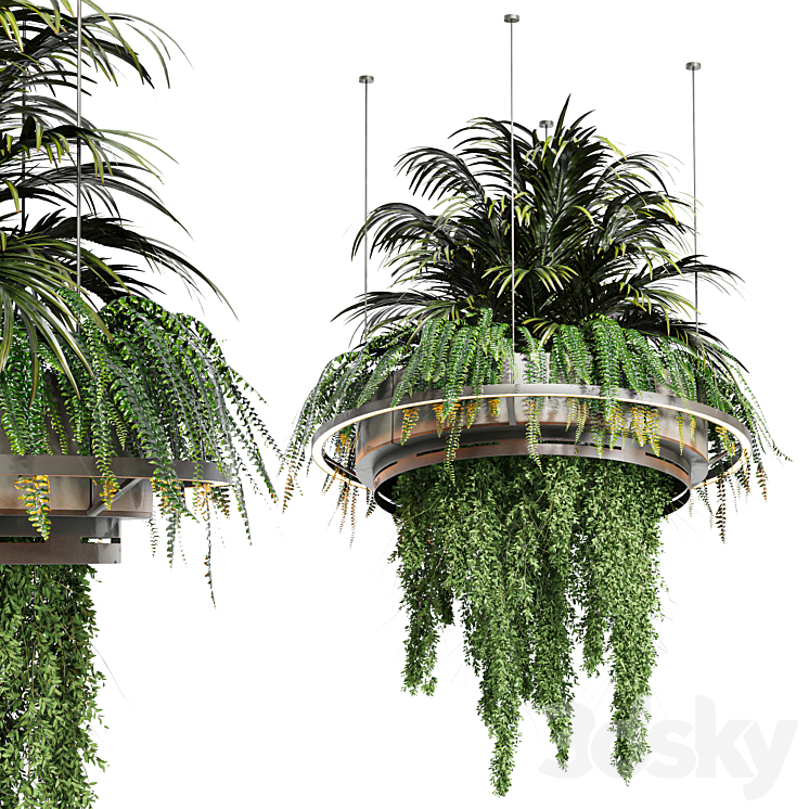 hanging plant 06 - Indoor - 3D model