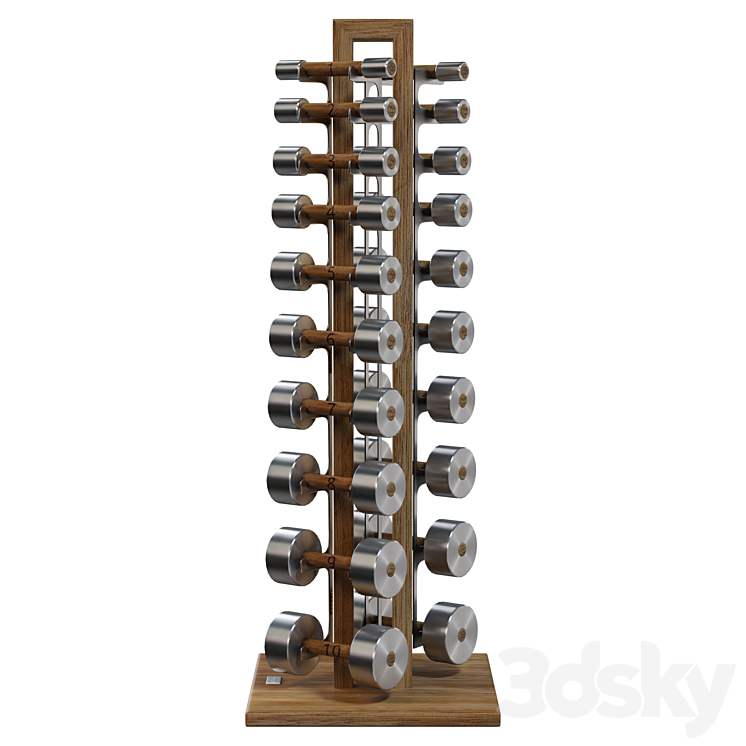 Paragon Hand Weight Set - Sports - 3D model