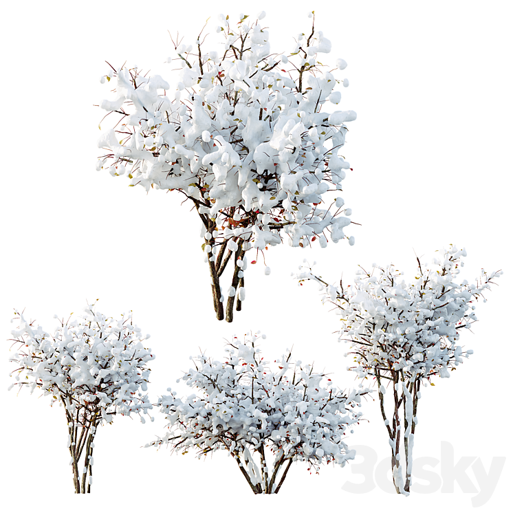 AV Plants Bush Small Winter Snow - Bush - 3D model