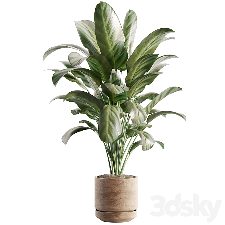 Indoor Plant Set 130 - Indoor - 3D model