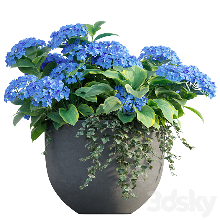 Pot plant 03 - Indoor - 3D model