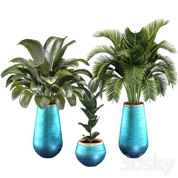 Indoor Plants Collection 001 - Indoor - 3D model