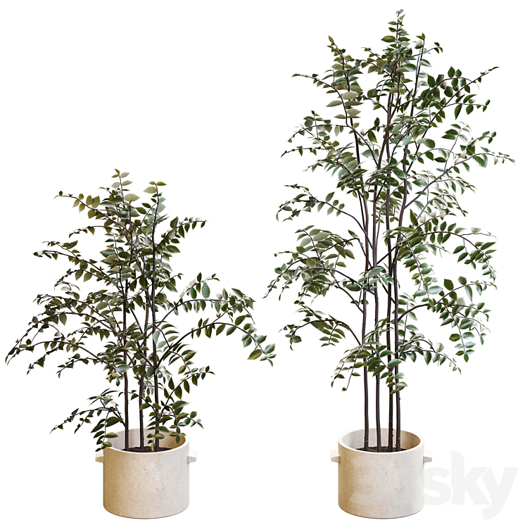 Set of indoor plants 001 - Indoor - 3D model