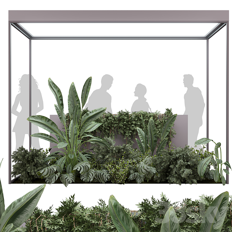 3D Garden Plant Collection - Indoor - 3D model