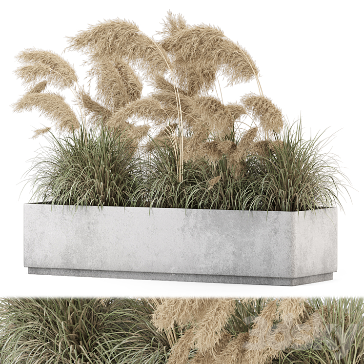 Outdoor Dry Plants Bush Collection 3187 - Outdoor - 3D model