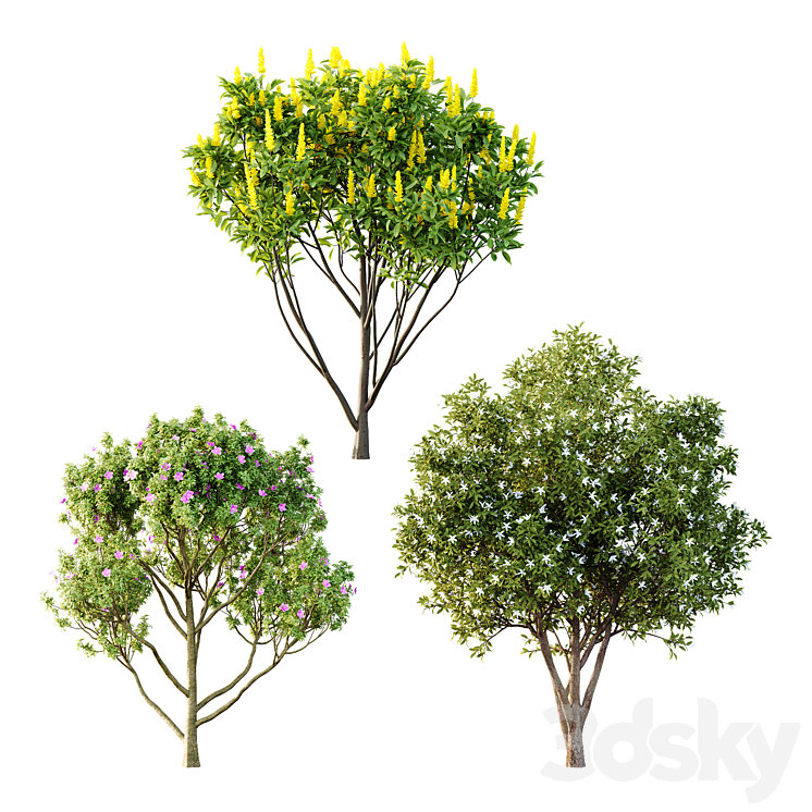 Different Trees 011 - Tree - 3D model