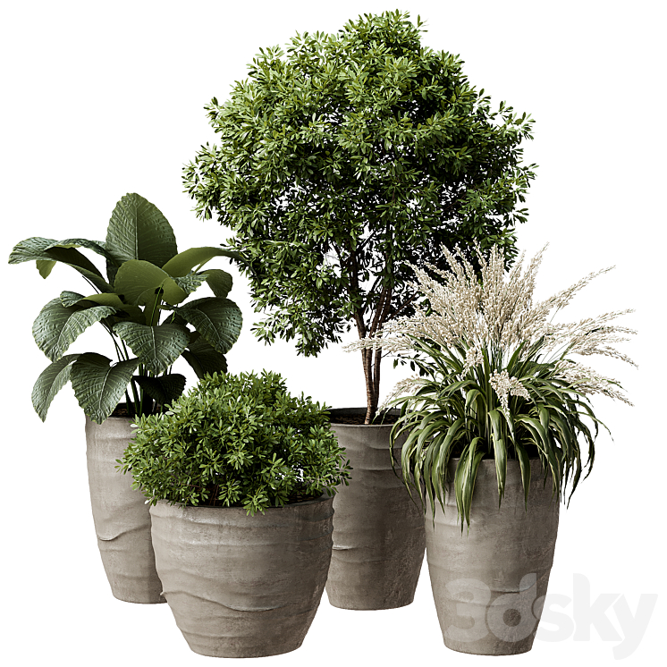 Outdoor Plant 42 - Outdoor - 3D model